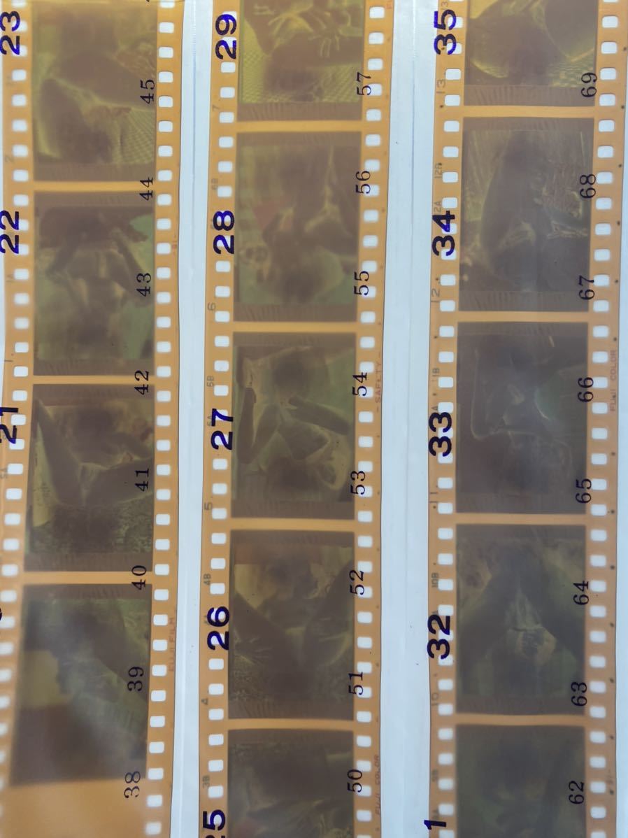 551 昭和レトロ フィルムカメラ エロ写真のネガ 約340コマ ネガフィルム 春画 裸婦 風俗資料その他|売買されたオークション情報、yahooの商品情報をアーカイブ公開