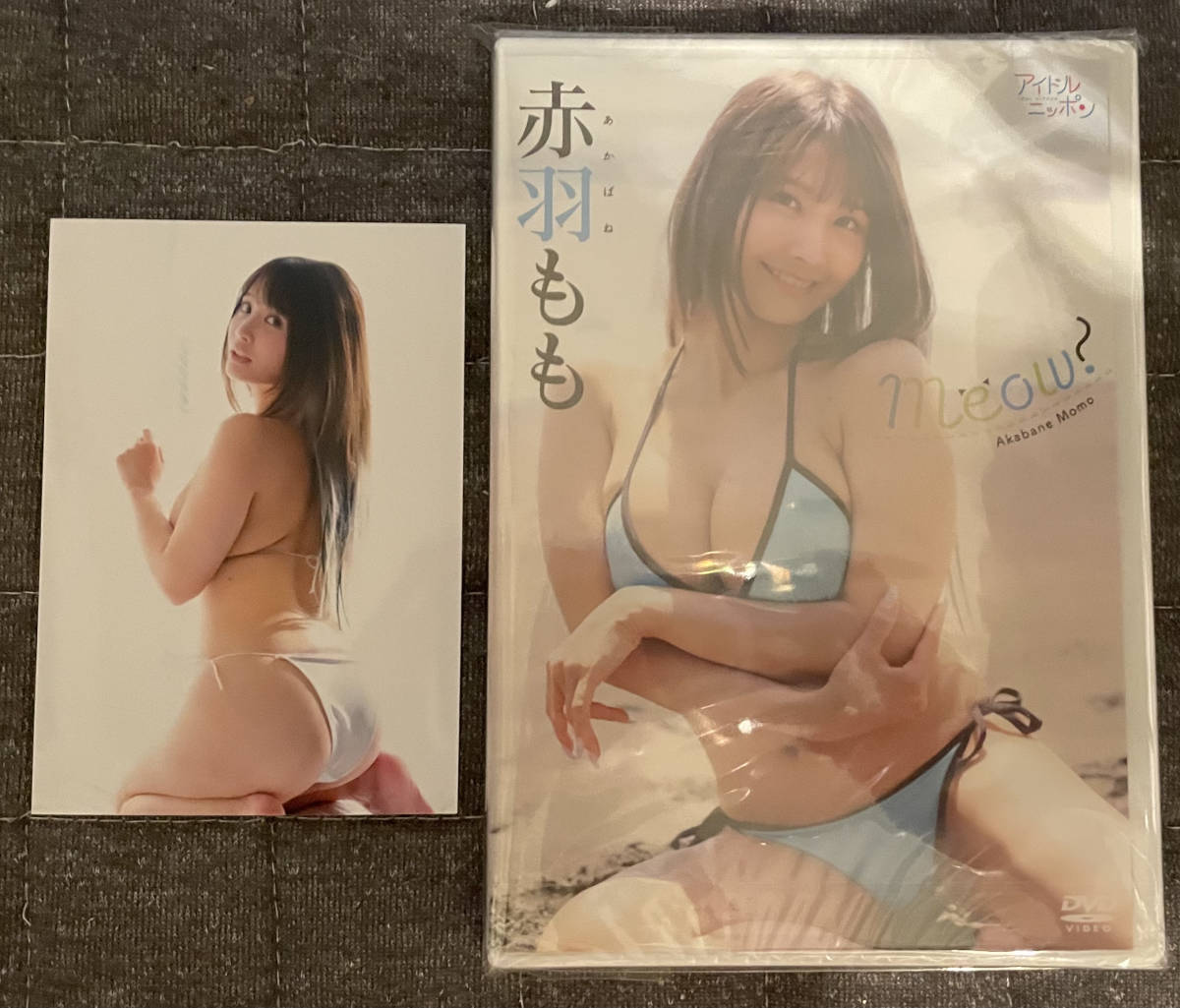 Yahoo!オークション - 赤羽もも DVD ／ Meow ＋ 生写真1枚つき 美品