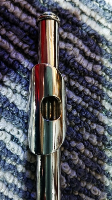 Yahoo!オークション - HAYNES PICCOLO ヘインズピッコロ 総銀製 Yahoo!オークション - HAYNES PICCOLO ヘインズピッコロ 総銀製