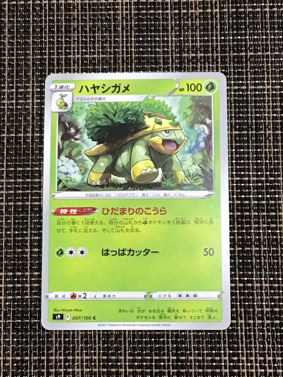 Yahoo!オークション - s9 ハヤシガメ