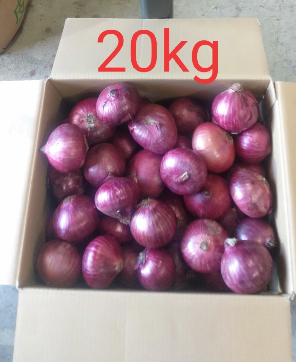 20kg 生鮮玉ねぎ｜PayPayフリマ
