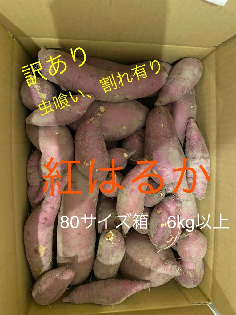 Yahoo!オークション - 【訳あり】新さつまいも 紅はるか 6kg+500g補償...