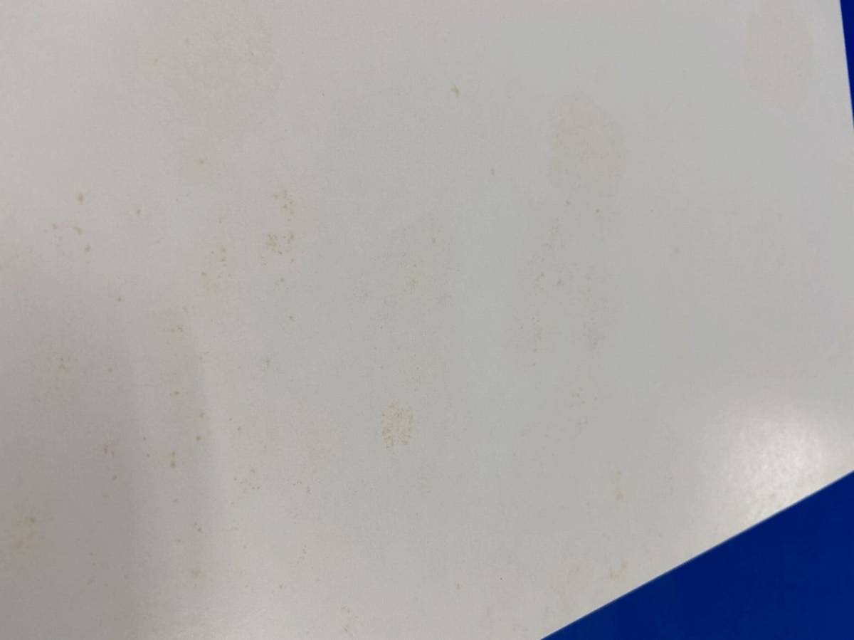 Yahoo!オークション - Y-041 矢沢永吉 サイン