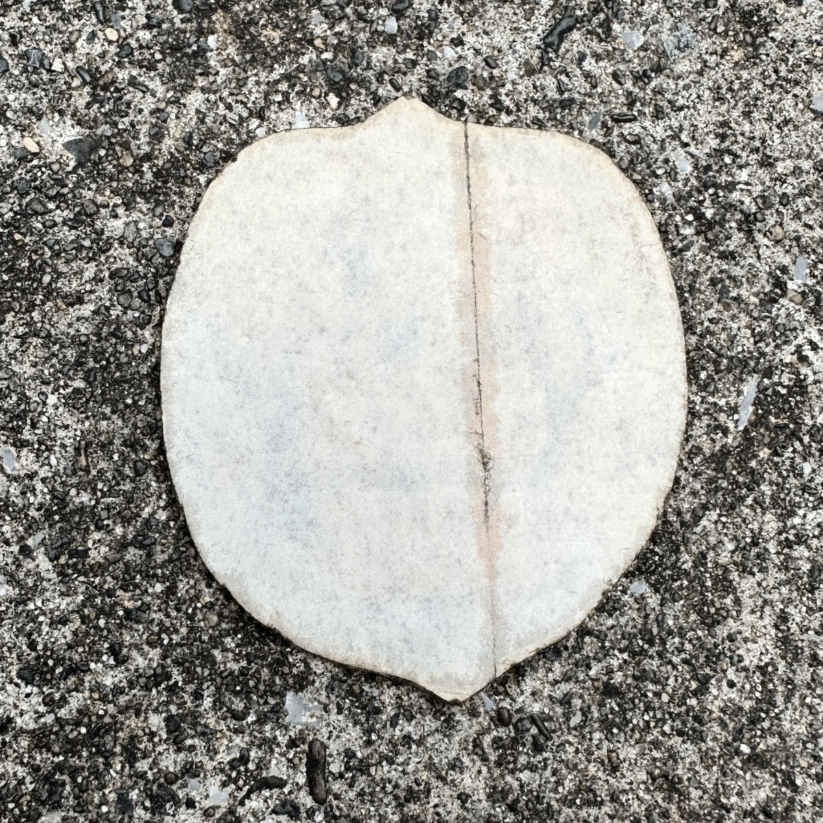 Yahoo!オークション - 激レア ビンテージ 70s SEX ワッペン エロ ヒッ...