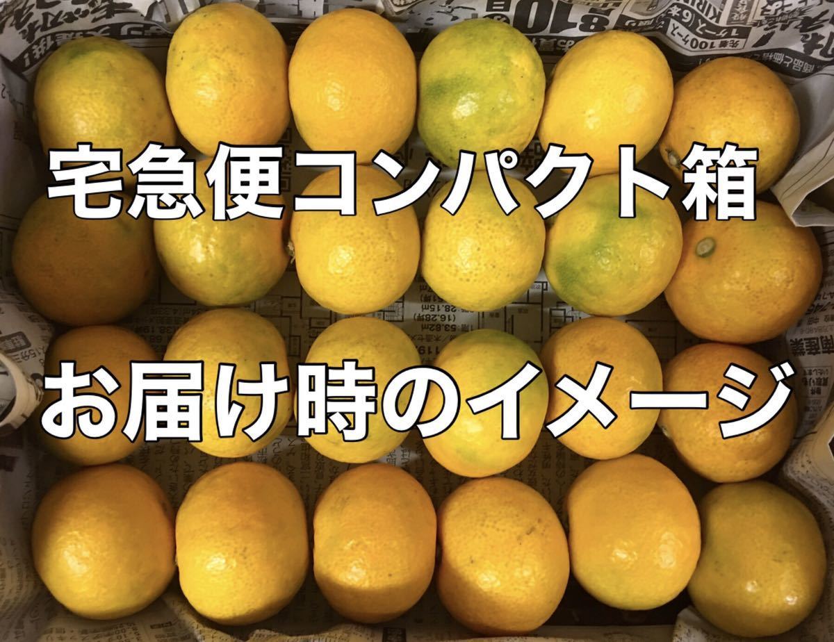 Yahoo!オークション - No7 濃厚「月あかり」みかん 3Sサイズ お試し用 ...