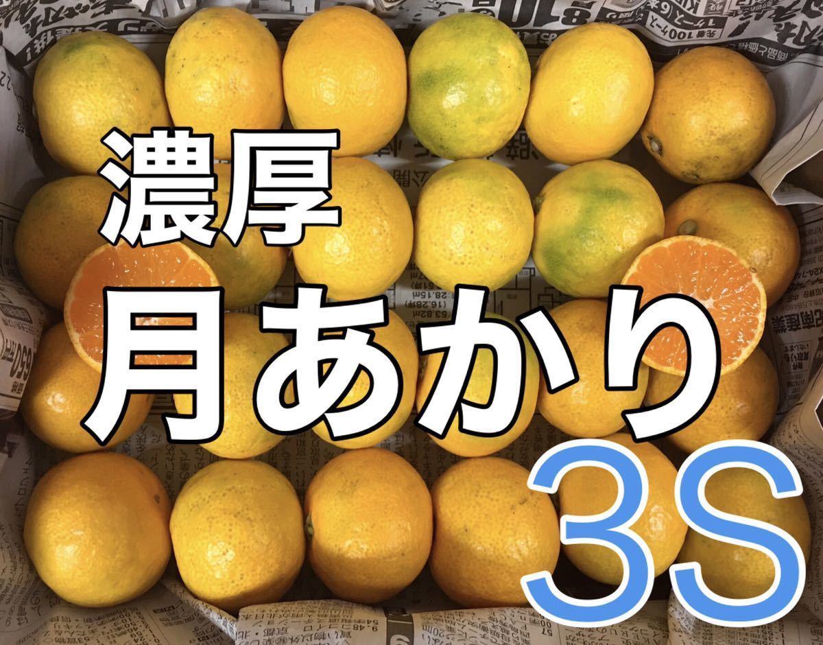 Yahoo!オークション - No7 濃厚「月あかり」みかん 3Sサイズ お試し用 ...
