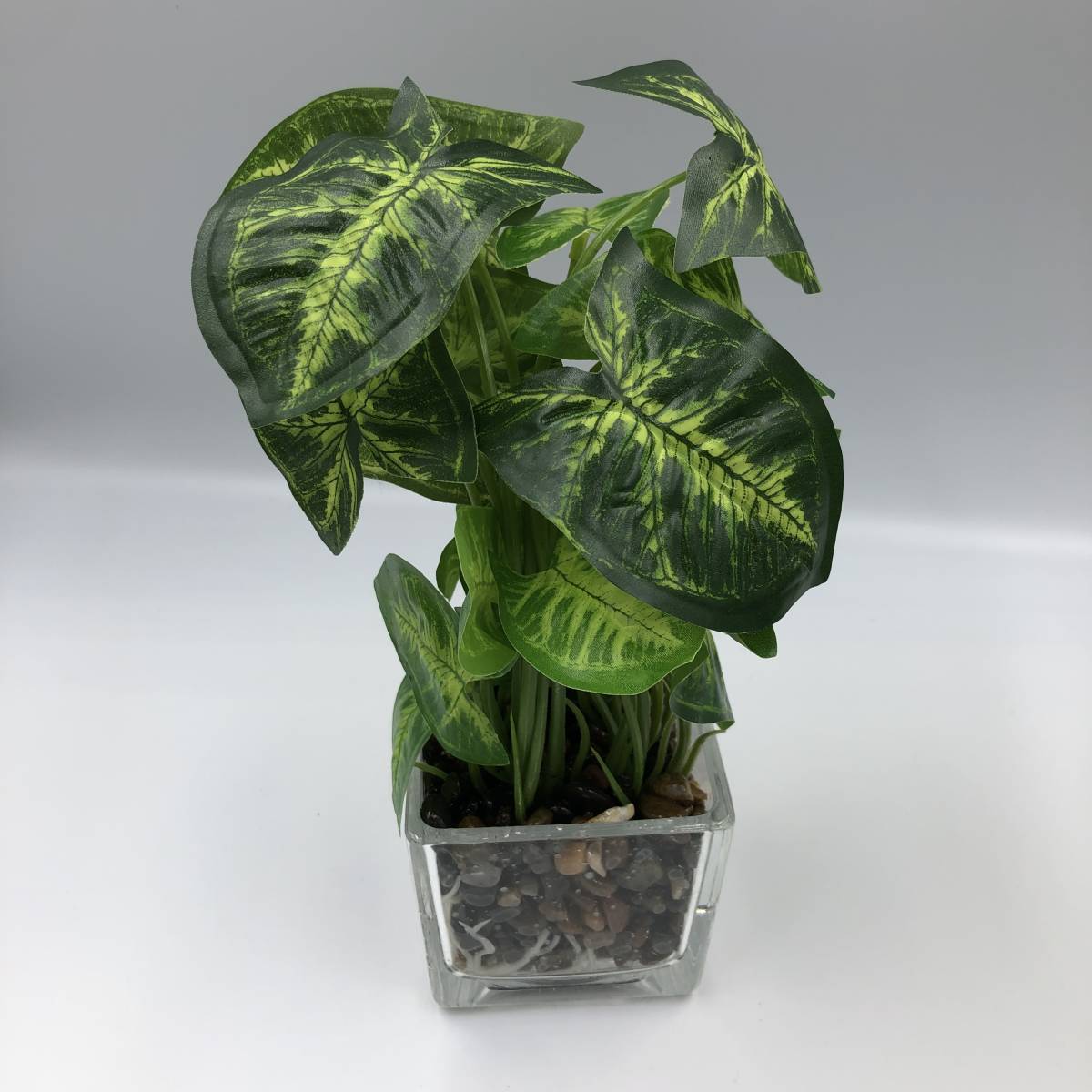 Yahoo!オークション - XiaZ フェイクグリーン 光触媒 3点セット 人工観...