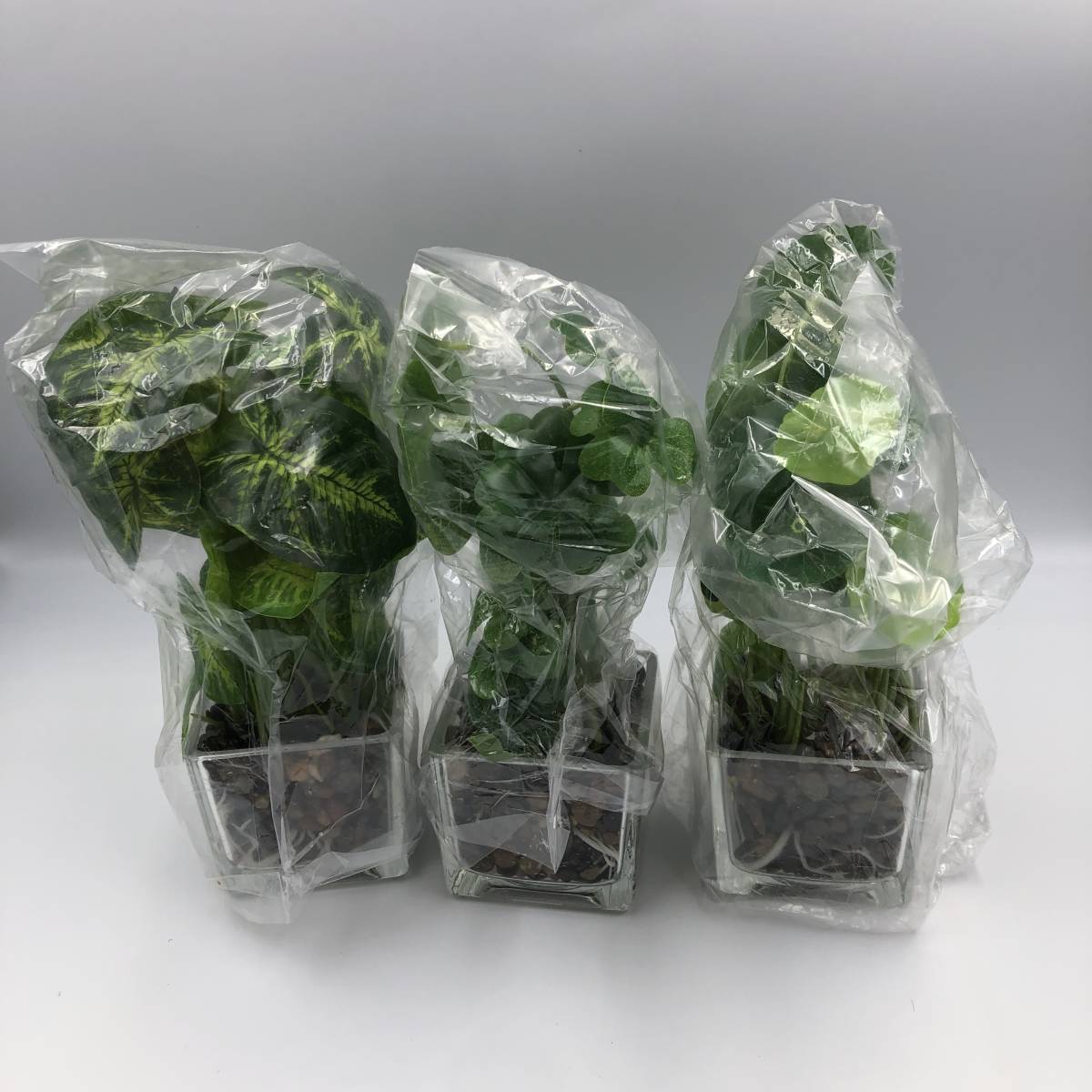 Yahoo!オークション - XiaZ フェイクグリーン 光触媒 3点セット 人工観...