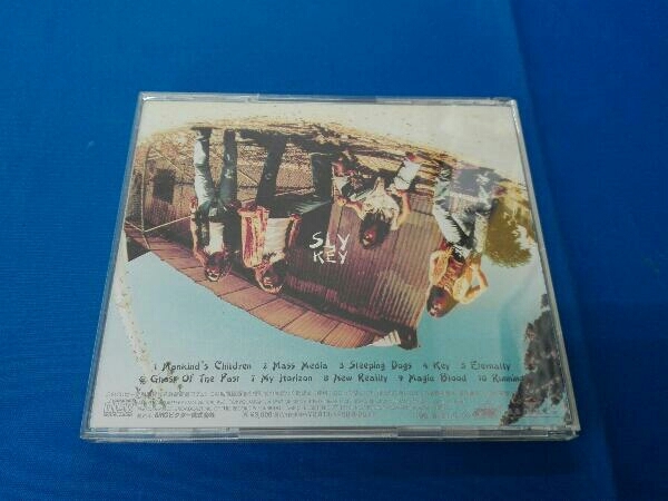 Yahoo!オークション - SLY CD KEY