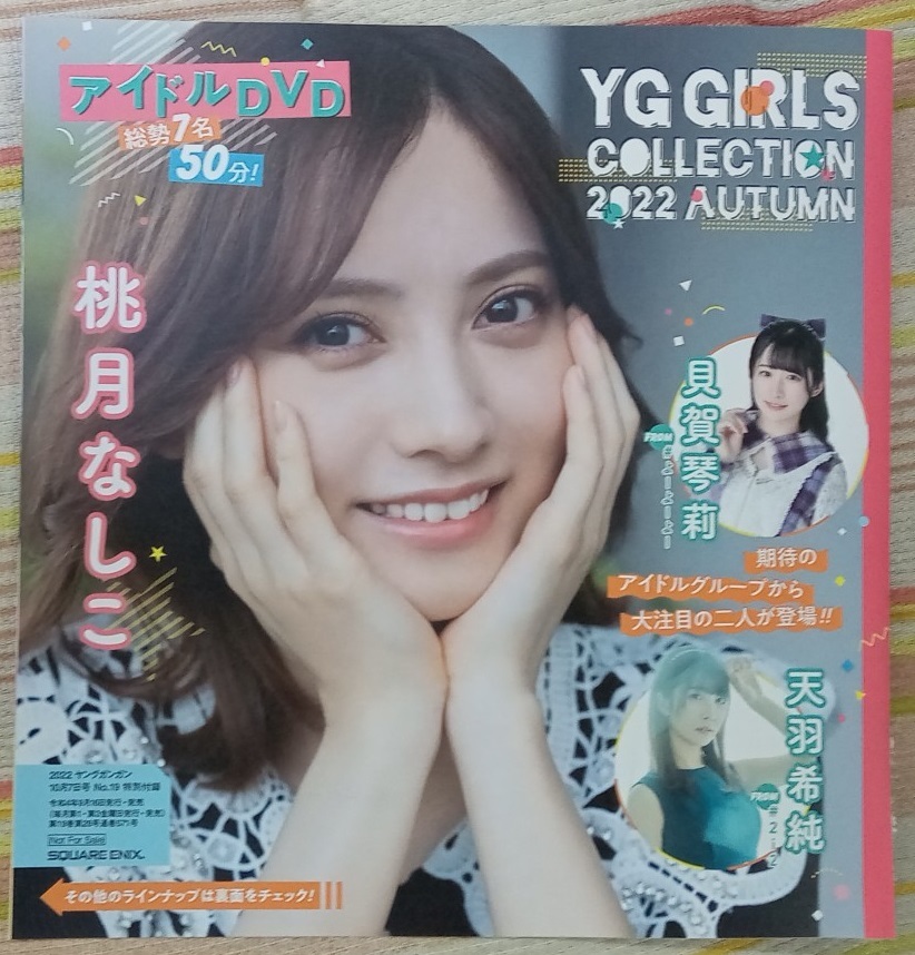 Yahoo!オークション - ヤングガンガン付録DVD 未開封品