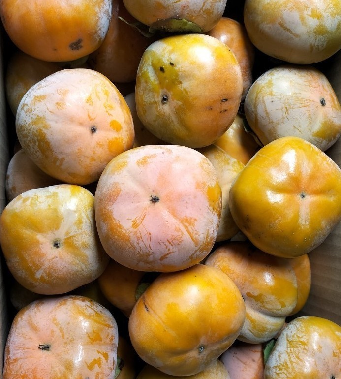 次郎柿 6kg｜Yahoo!フリマ（旧PayPayフリマ）