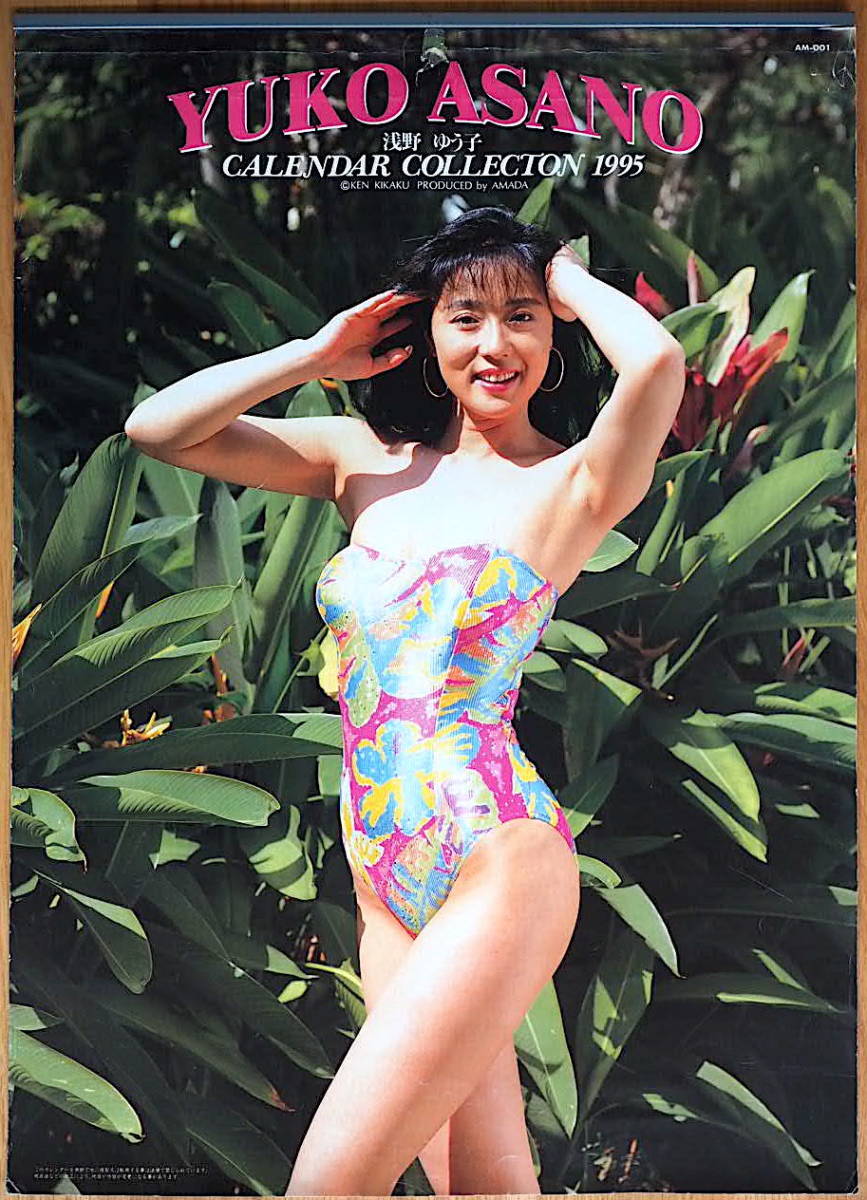 代購代標第一品牌－樂淘letao－1995年 浅野ゆう子 カレンダー