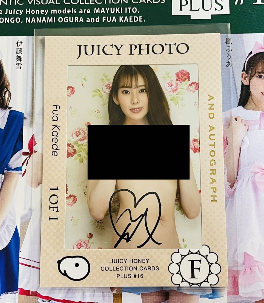 Yahoo!オークション - 1of1 ジューシーハニー PLUS#16 JUICY HONEY 楓...