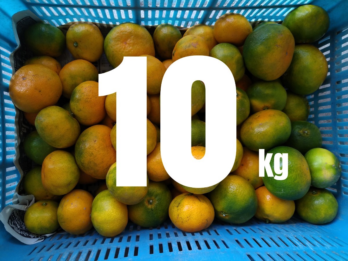 みかん 10kg(箱込) 訳あり｜PayPayフリマ
