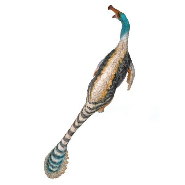 Yahoo!オークション - PNSO 成長シリーズ 64 先史時代 デイノケイルス ...