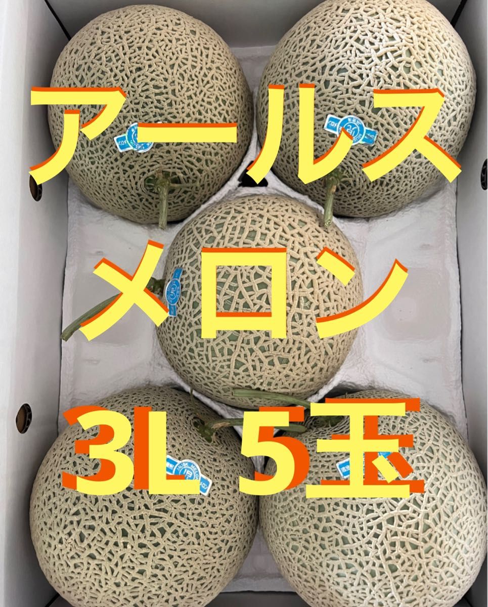 アールスメロン 3L 5玉｜Yahoo!フリマ（旧PayPayフリマ）