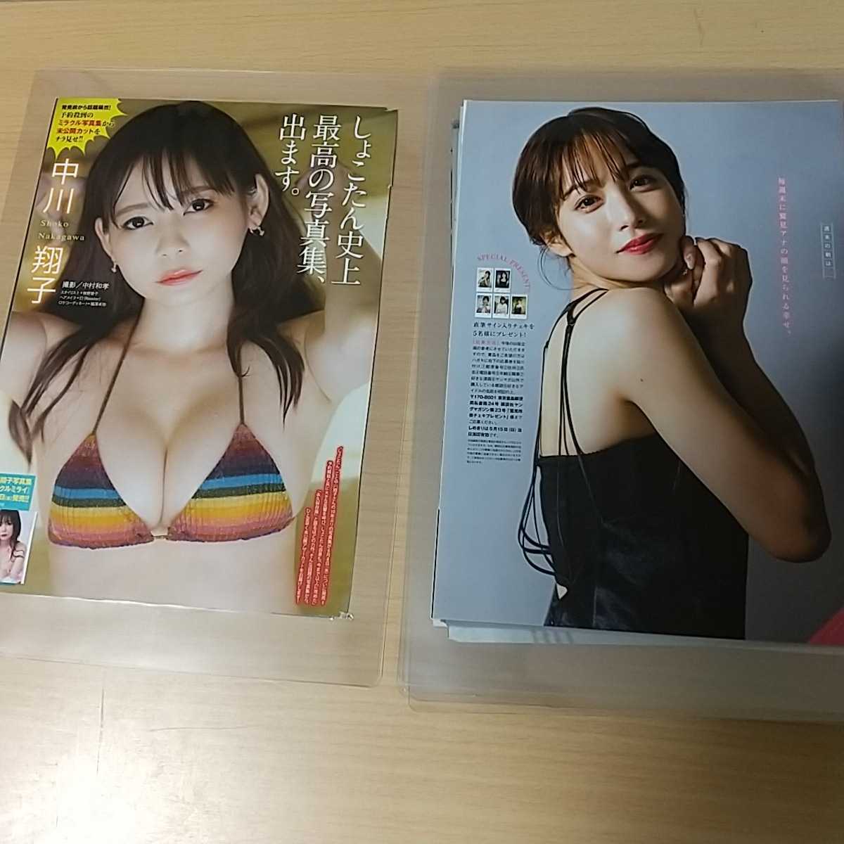 代購代標第一品牌－樂淘letao－1-005 鷲見玲奈 中川翔子 ヤンマガグラビア ラミネート加工済み 女子アナ しょこたん ビキニ 水着 保存版