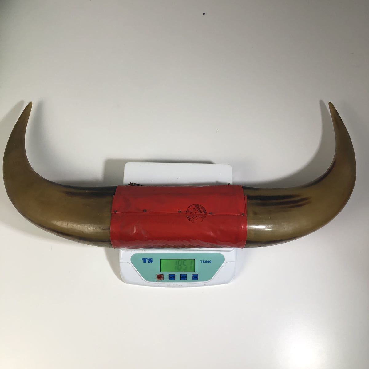 Yahoo!オークション - 象牙風 水牛の角 壁掛けお土産 1850g 70x30cm