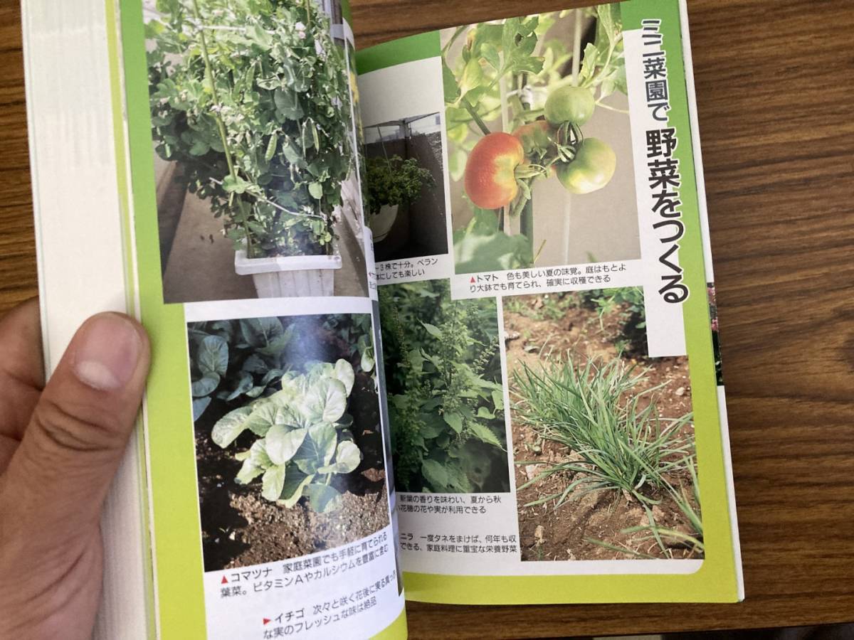 園芸スケジュール12カ月 四季の草花 洋ラン 観葉植物 ハーブ 野菜 庭木を育て 楽しむ／中山草司/39B(ガーデニング)｜売買されたオークション情報、yahooの商品情報をアーカイブ公開 ...