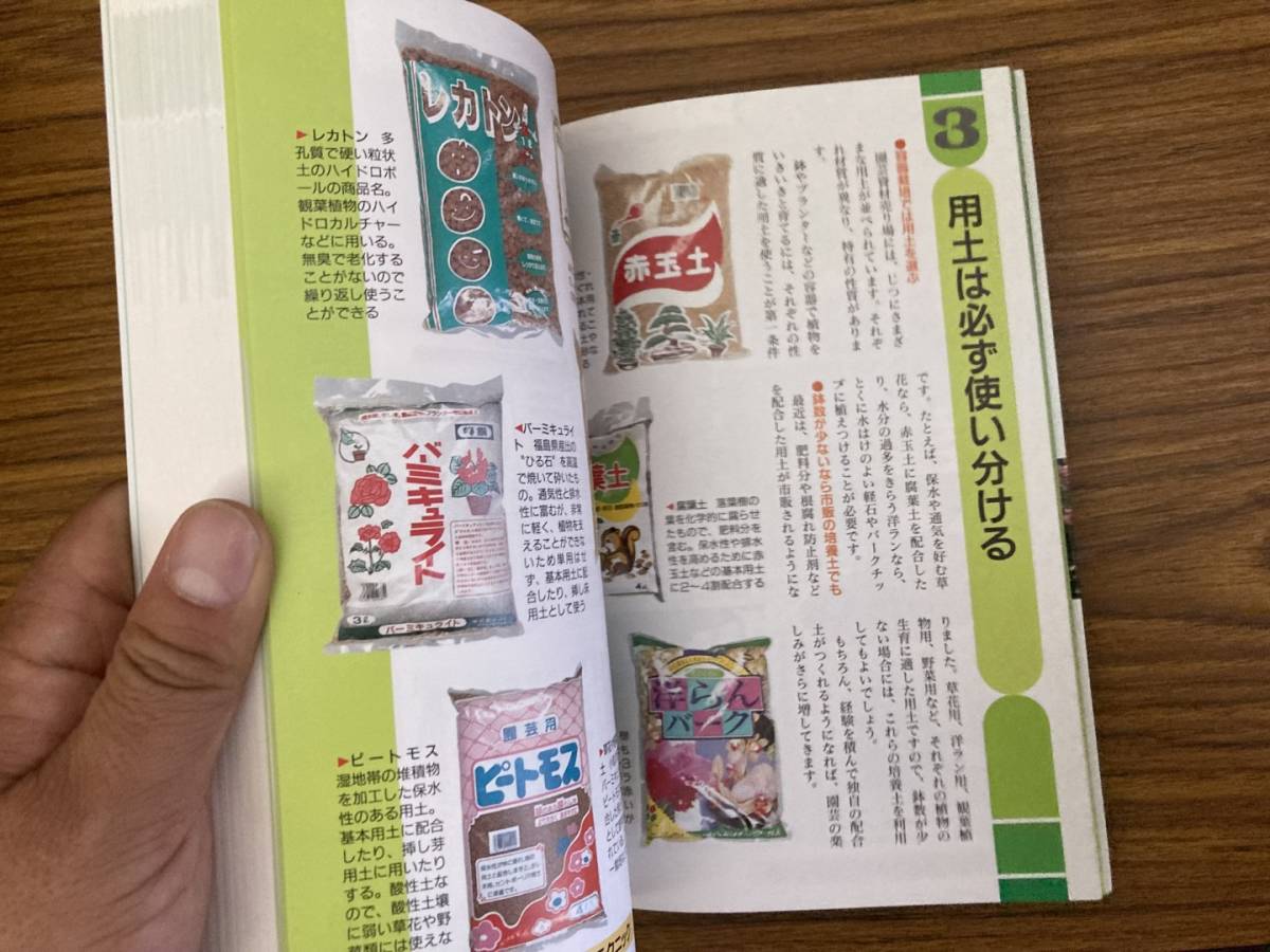 園芸スケジュール12カ月 四季の草花 洋ラン 観葉植物 ハーブ 野菜 庭木を育て 楽しむ／中山草司/39B(ガーデニング)｜売買されたオークション情報、yahooの商品情報をアーカイブ公開 ...