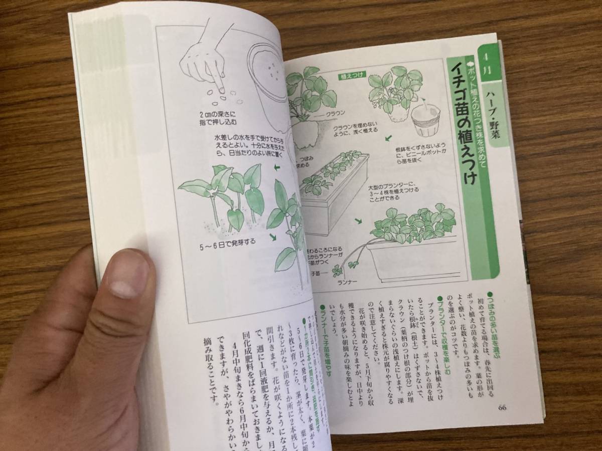 園芸スケジュール12カ月 四季の草花 洋ラン 観葉植物 ハーブ 野菜 庭木を育て 楽しむ／中山草司/39B(ガーデニング)｜売買されたオークション情報、yahooの商品情報をアーカイブ公開 ...