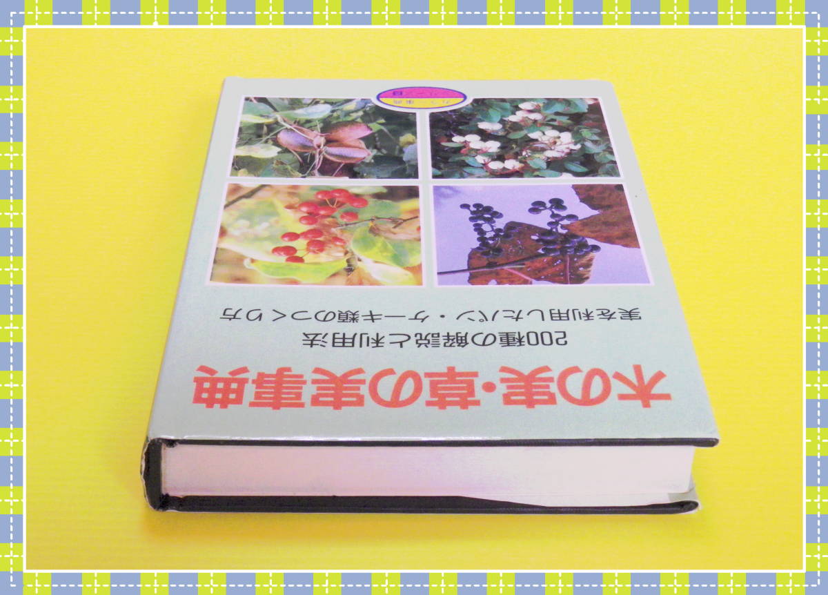 代購代標第一品牌－樂淘letao－ 木の実・草の実事典― 200種の解説と利用法 b59-2