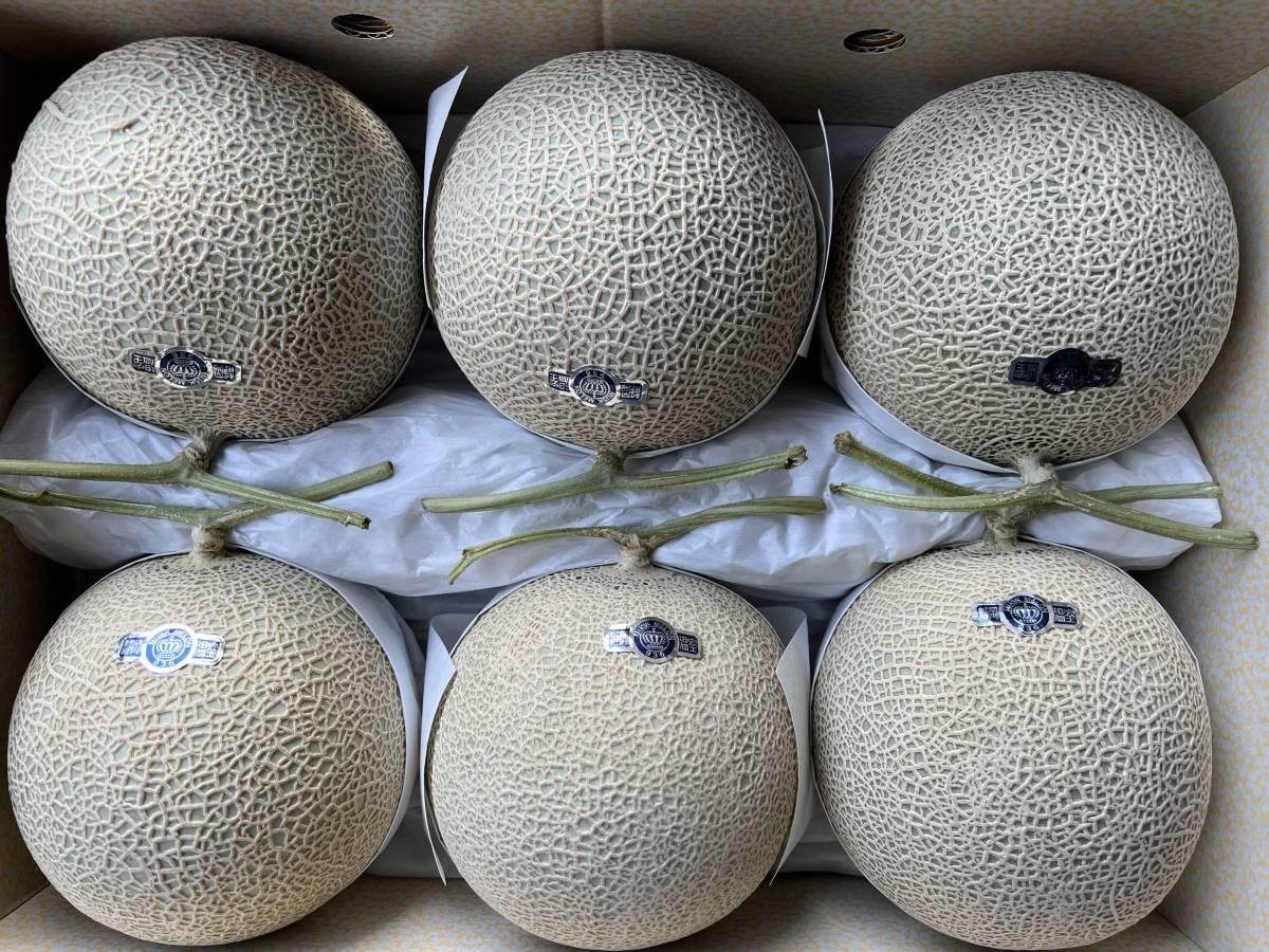 Yahoo!オークション - 【実験店舗】静岡クラウンメロン”白”8.1kg訳...