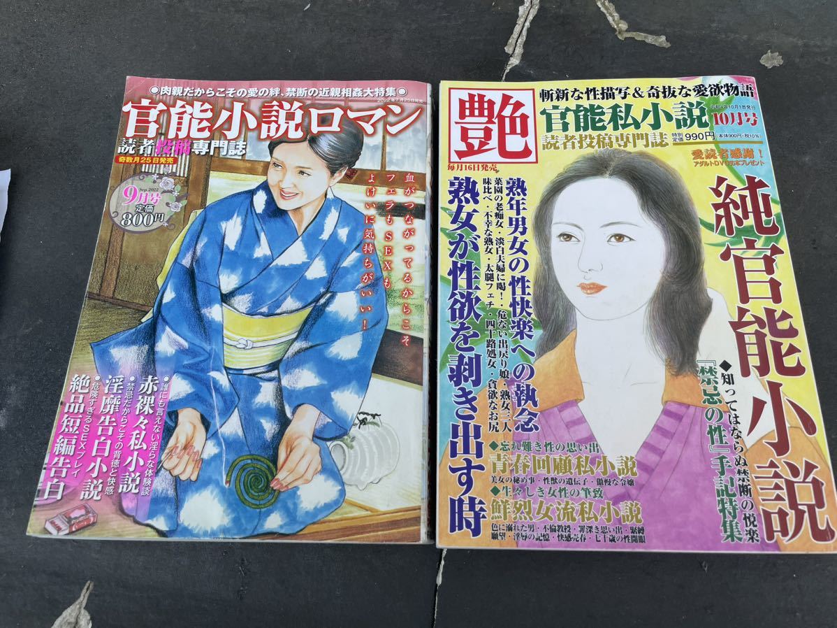 官能小説 ロマン 艶 2冊まとめて 昭和レトロ中古のヤフオク落札情報