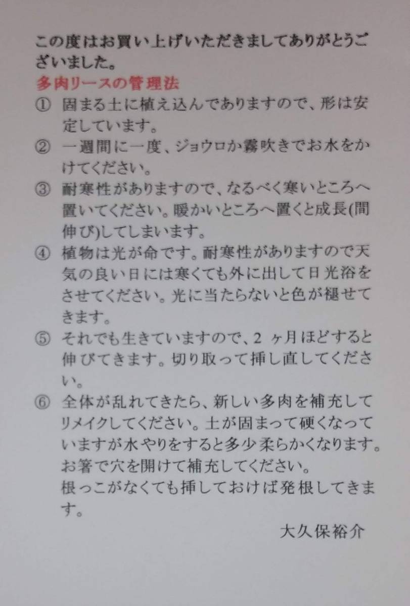 Yahoo!オークション - 11012多肉植物の寄せ植え リース 大・17㎝ 飾り...