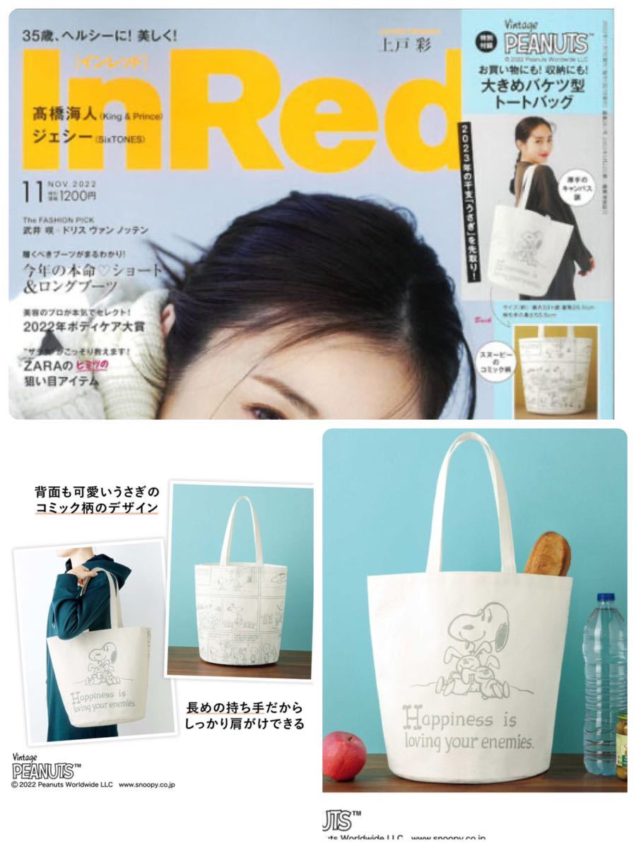 Yahoo!オークション - InRed 11月号 【付録】 SNOOPY インテリア収納...