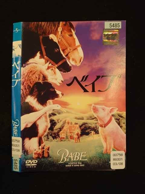 Yahoo!オークション - 014385 レンタルUP DVD ベイブ 5485 ケース無