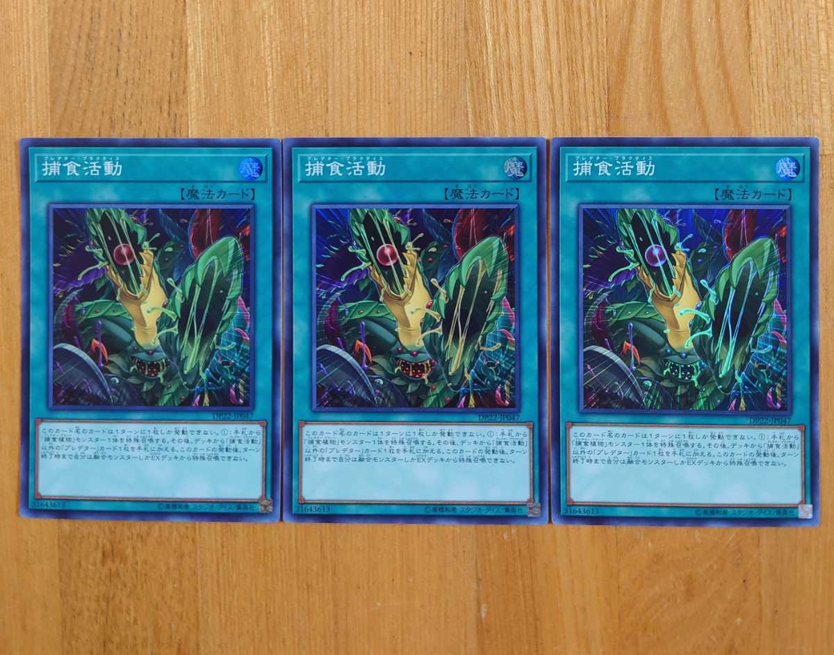 1円スタート 74. 捕食活動 プレデター プラクティス スーパーレア DP22-JP047 3枚セット 遊戯王 デュエルモンスターズ(シングルカード)｜売買されたオークション情報、yahoo ...