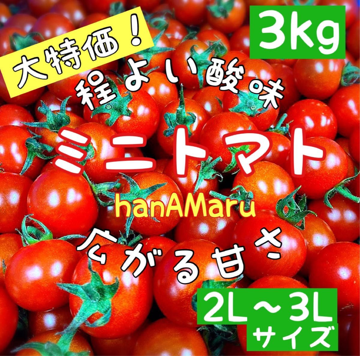 ミニトマト 3キロ 2L〜3Lサイズ｜PayPayフリマ