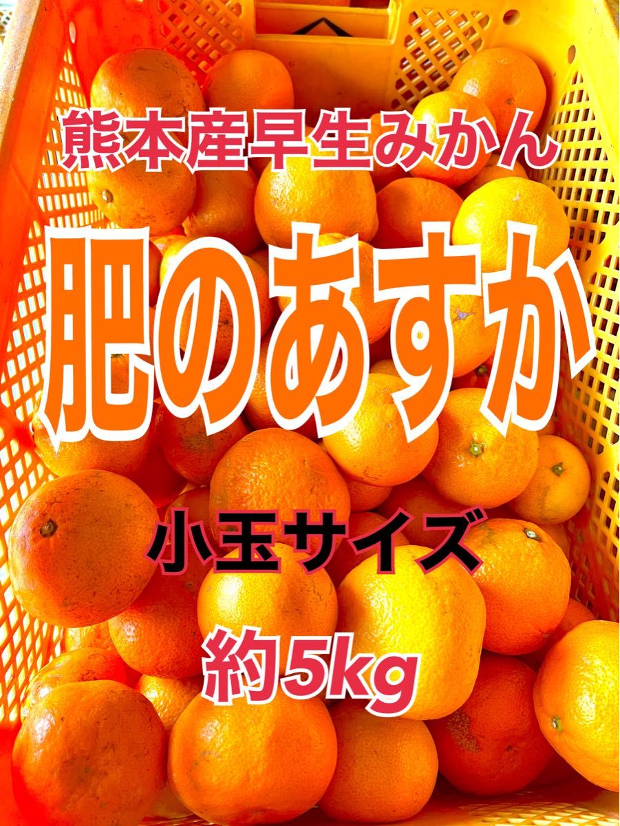 熊本産早生みかん[肥のあすか] 小玉サイズ約5kg｜PayPayフリマ