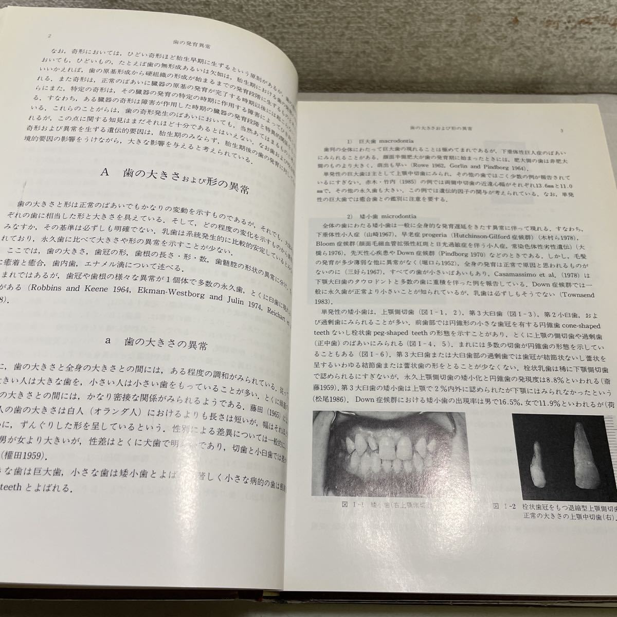 ヤフオク! - 221202 Q03 送料無料 除籍本 口腔病理学 Ⅰ・Ⅱ 2...
