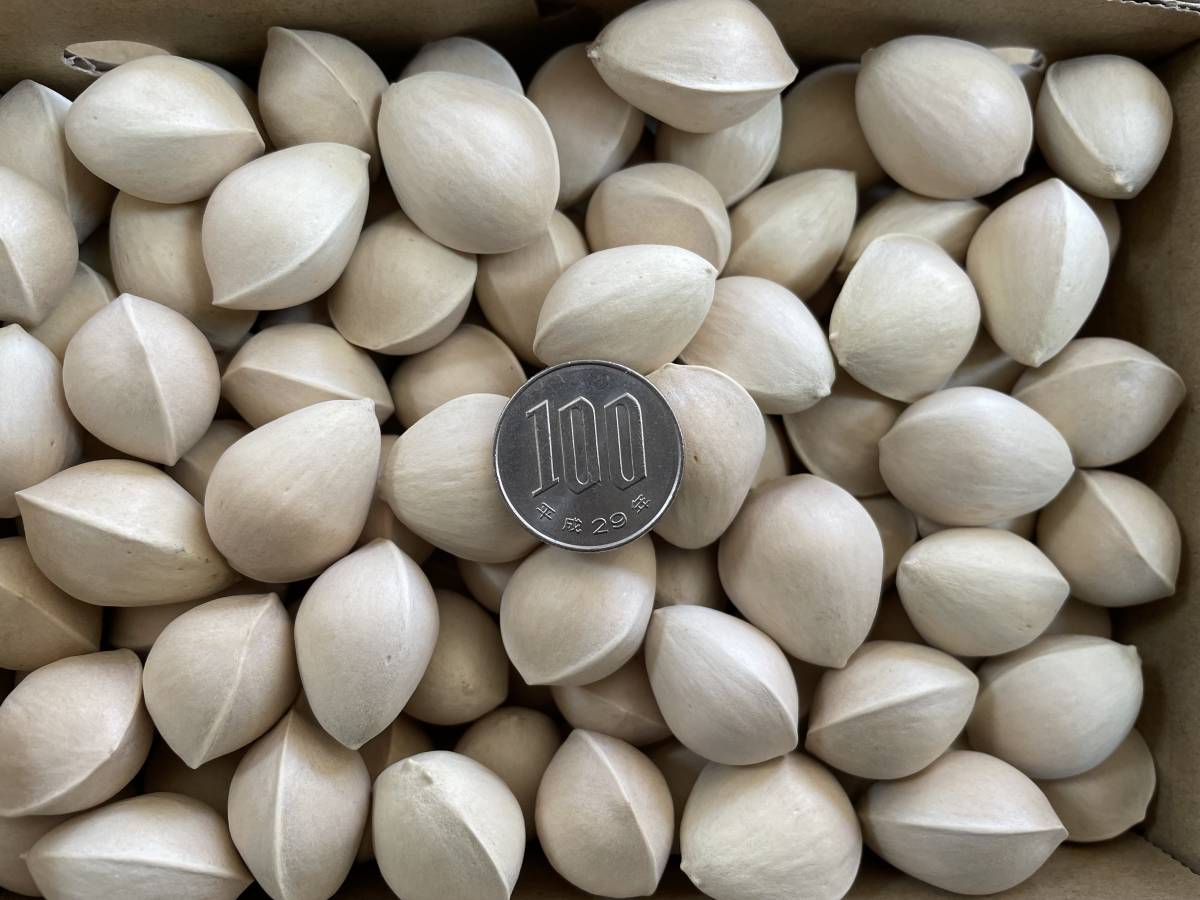 Yahoo!オークション - 特選 藤九郎銀杏 愛知県祖父江産 特大3L 500g