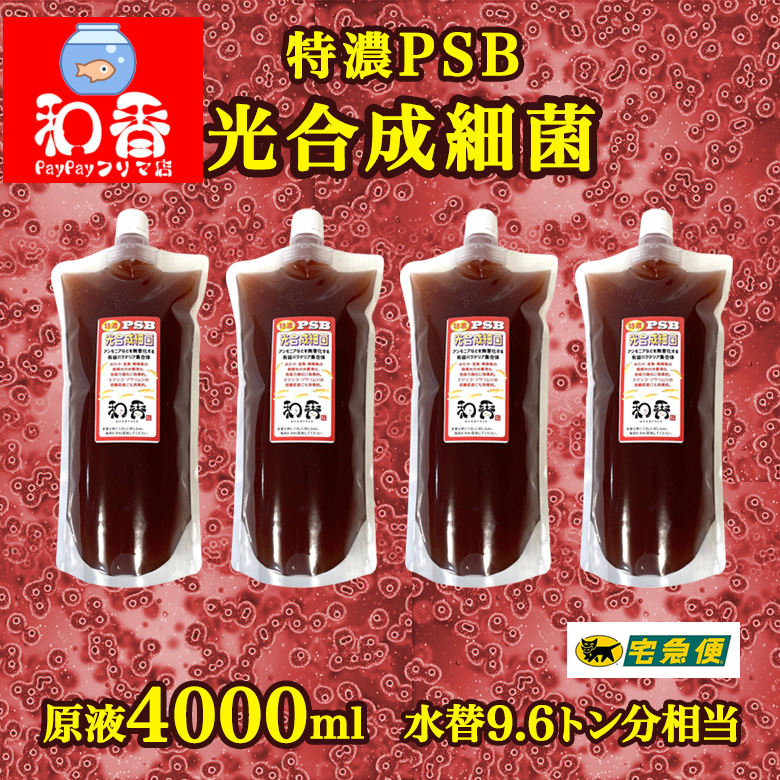 Yahoo!オークション - PSB光合成細菌4000ml 市販品の4倍濃度 バクテリ...