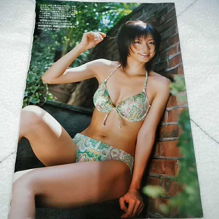 Yahoo!オークション - 安田美沙子 ビキニ 切抜き 3ページ a4-h