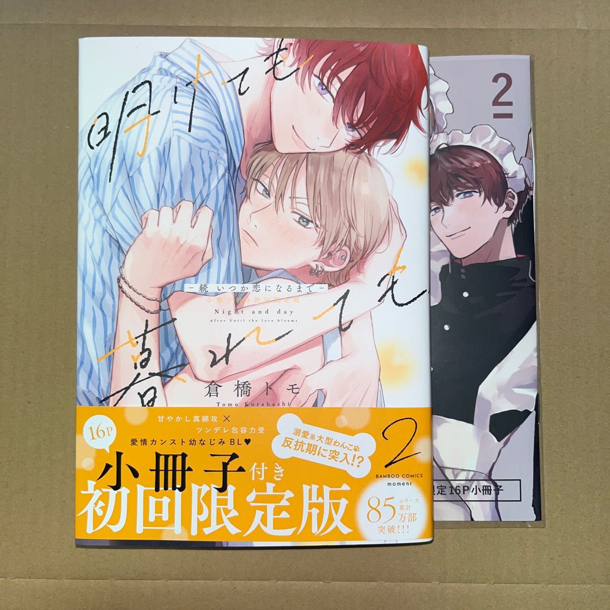明けても暮れても 続いつか恋になるまで 2 初回限定版小冊子