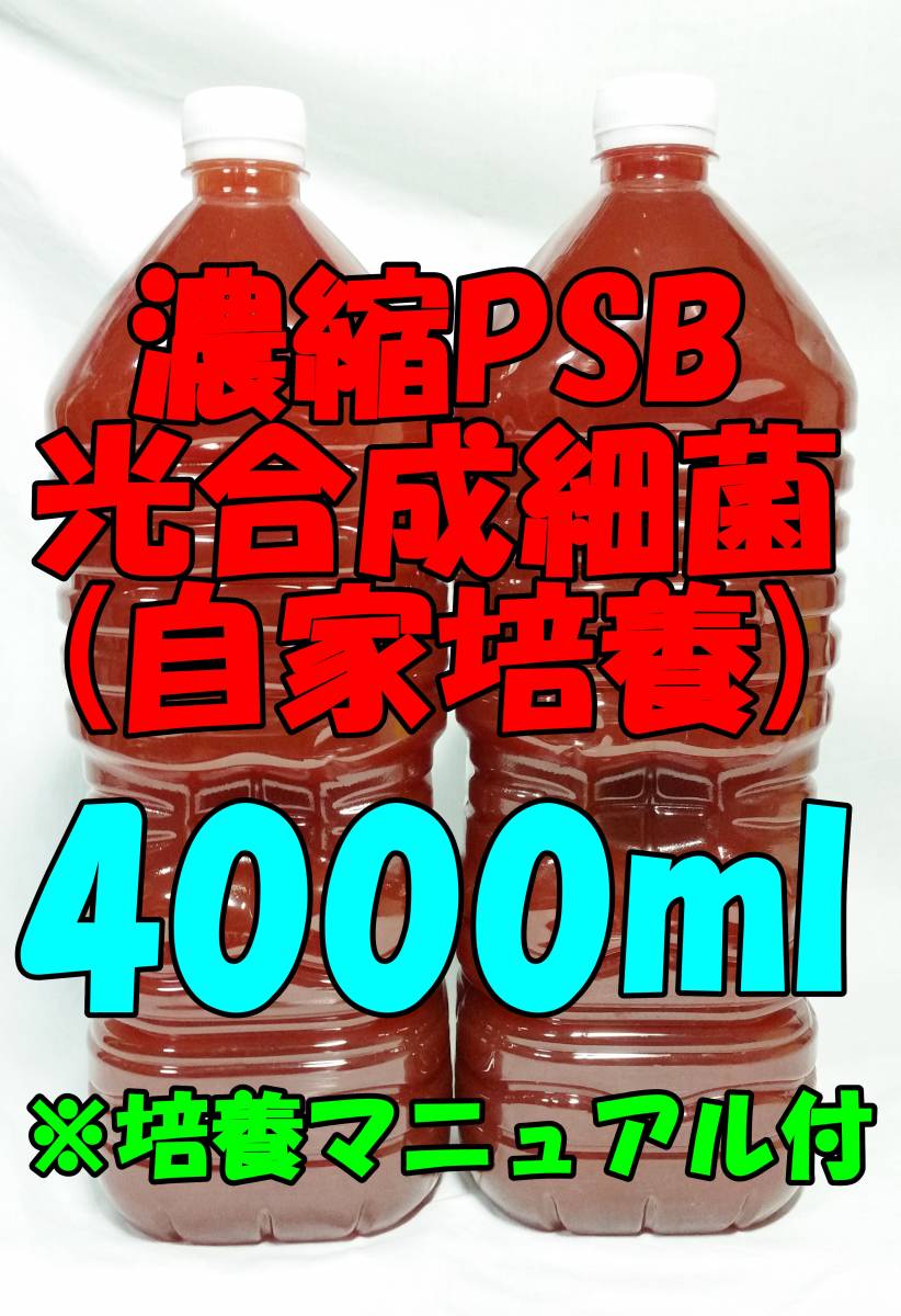 Yahoo!オークション - 【 匿名配送 濃縮PSB 光合成細菌 (自家培養) 4L ...