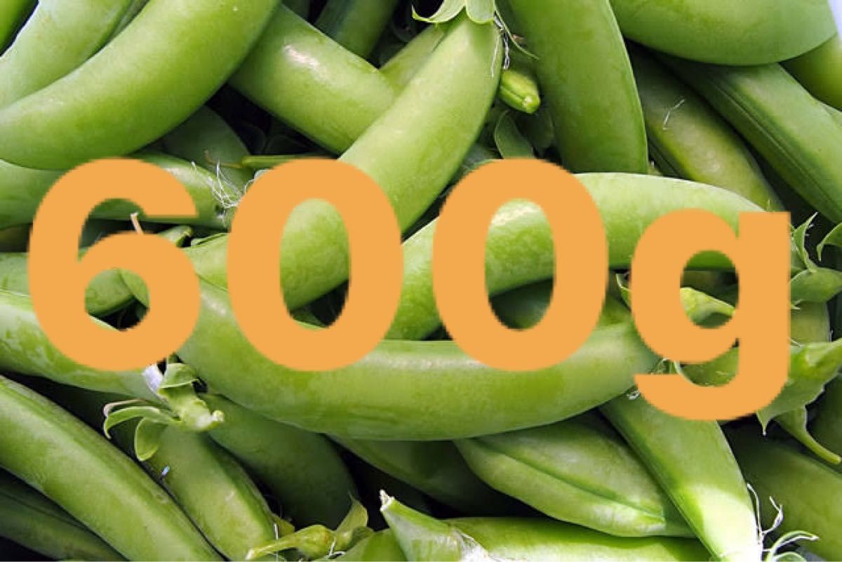 鹿児島産規格外スナップエンドウ600g｜Yahoo!フリマ（旧PayPayフリマ）