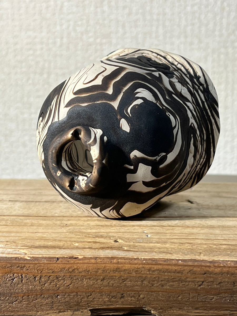 Yahoo!オークション - C25.plants monster 鉢【PLANET】検索（グラキリ...