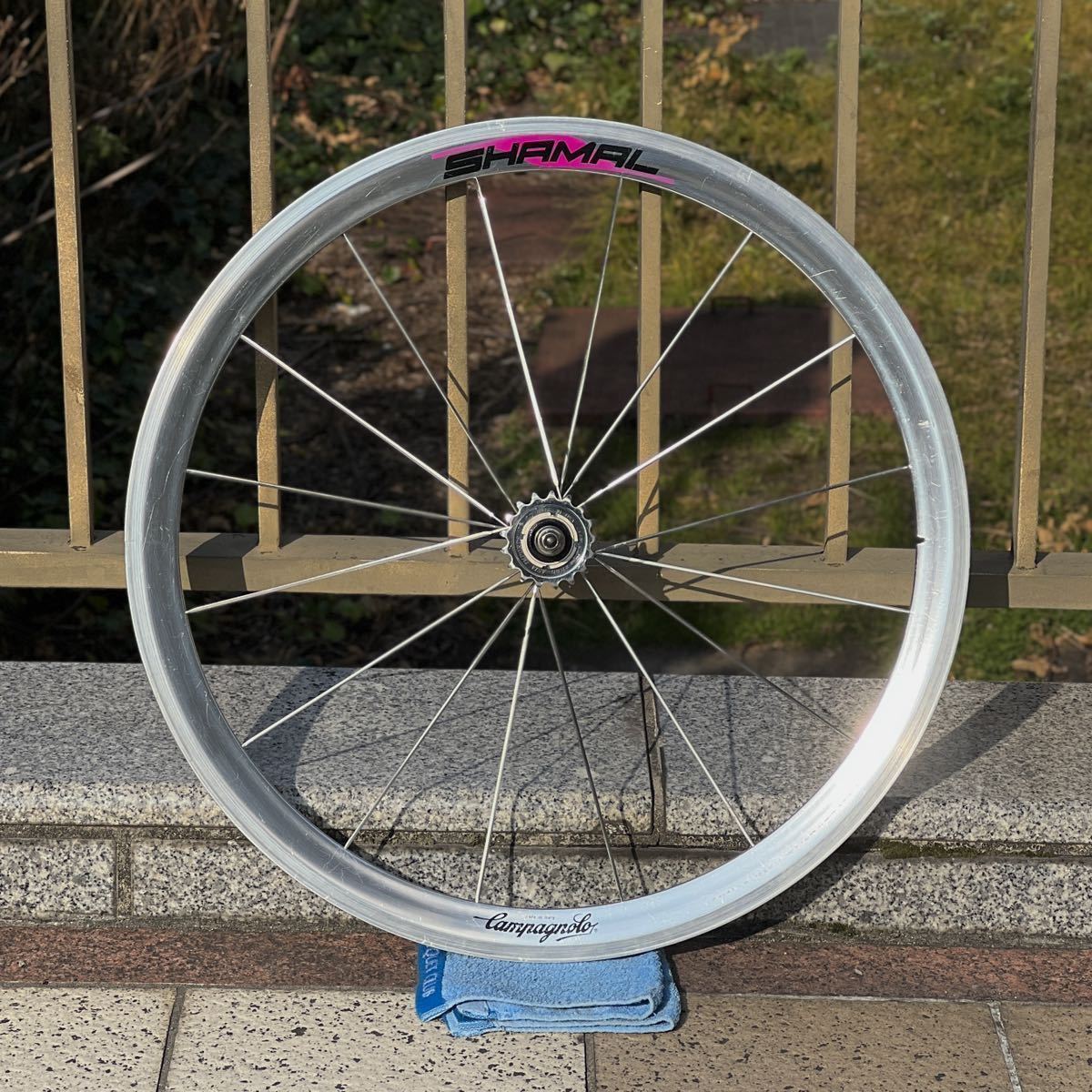Yahoo!オークション - CAMPAGNOLO SHAMAL ピスト リア 16H Yahoo!オークション - CAMPAGNOLO SHAMAL ピスト リア 16H