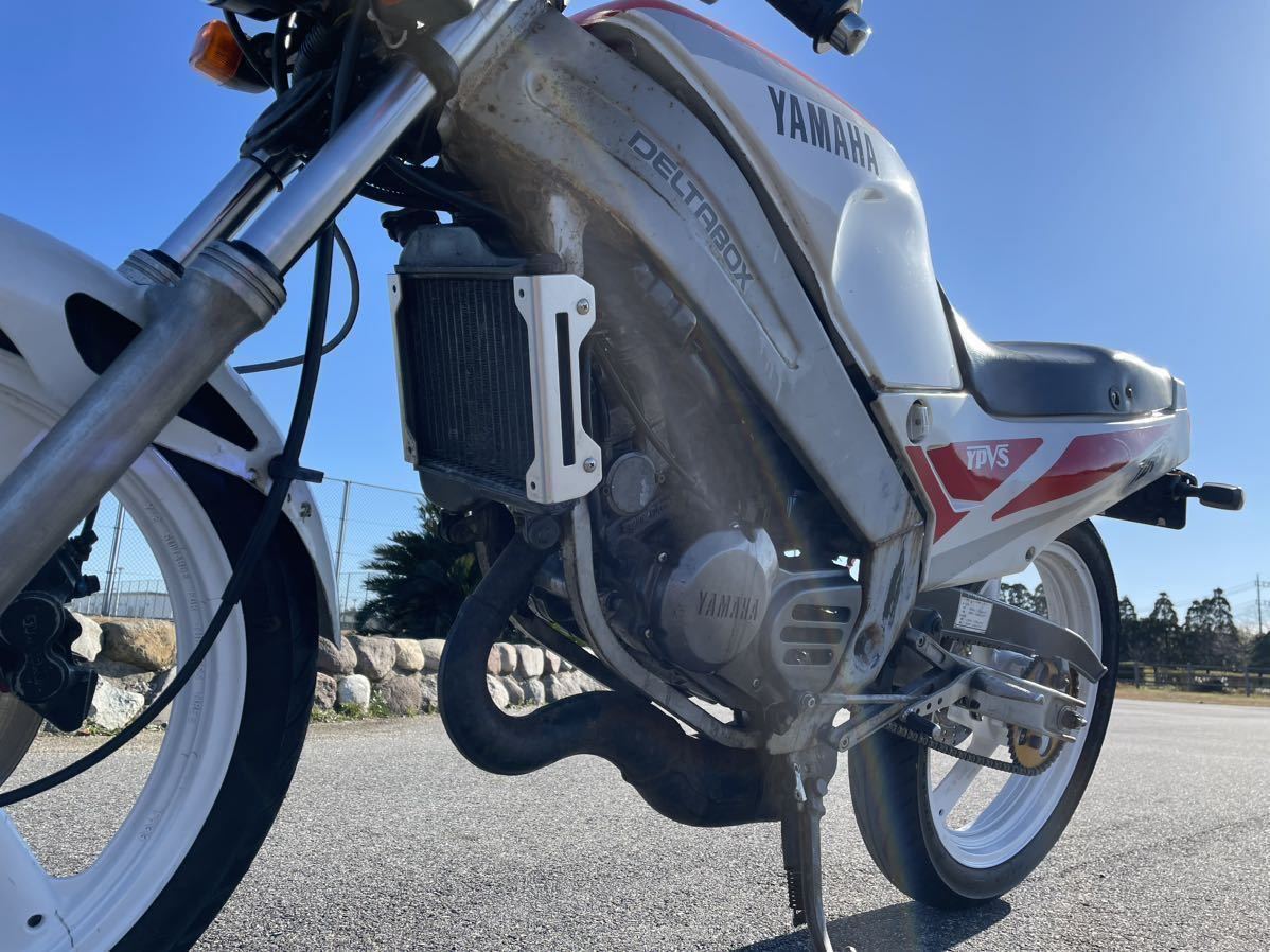 Yahoo!オークション - ヤマハ TZR125 3TY