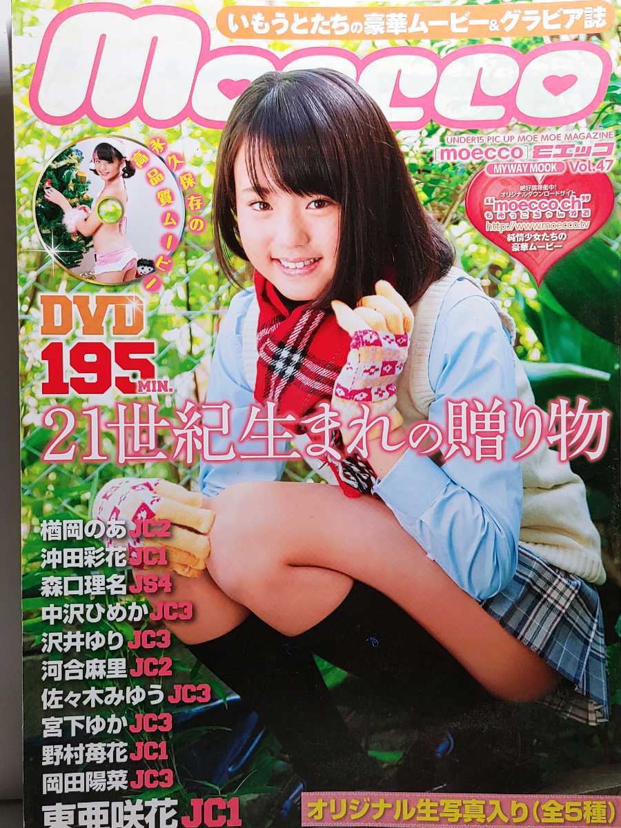 モエッコ moecco vol.47 2014年 佐々木みゆう 東亜咲花 中沢ひめか 沖田彩花 沢井ゆり 水城るな 宮下ゆか 河合麻里 西崎まい DVD付き(中古)のオークション落札情報