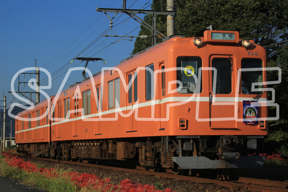 Yahoo!オークション - KGサイズ【養老鉄道】600系電車 D06 ラビットカ...