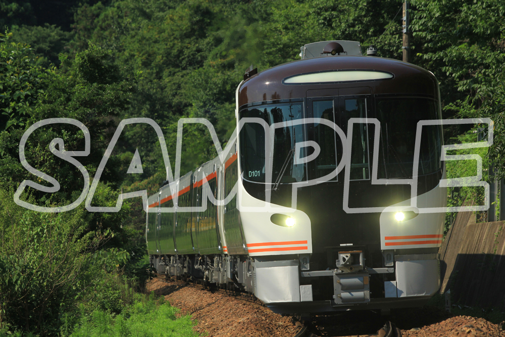 Yahoo!オークション - KGサイズ【JR東海】HC85系気動車 D101編成 new...