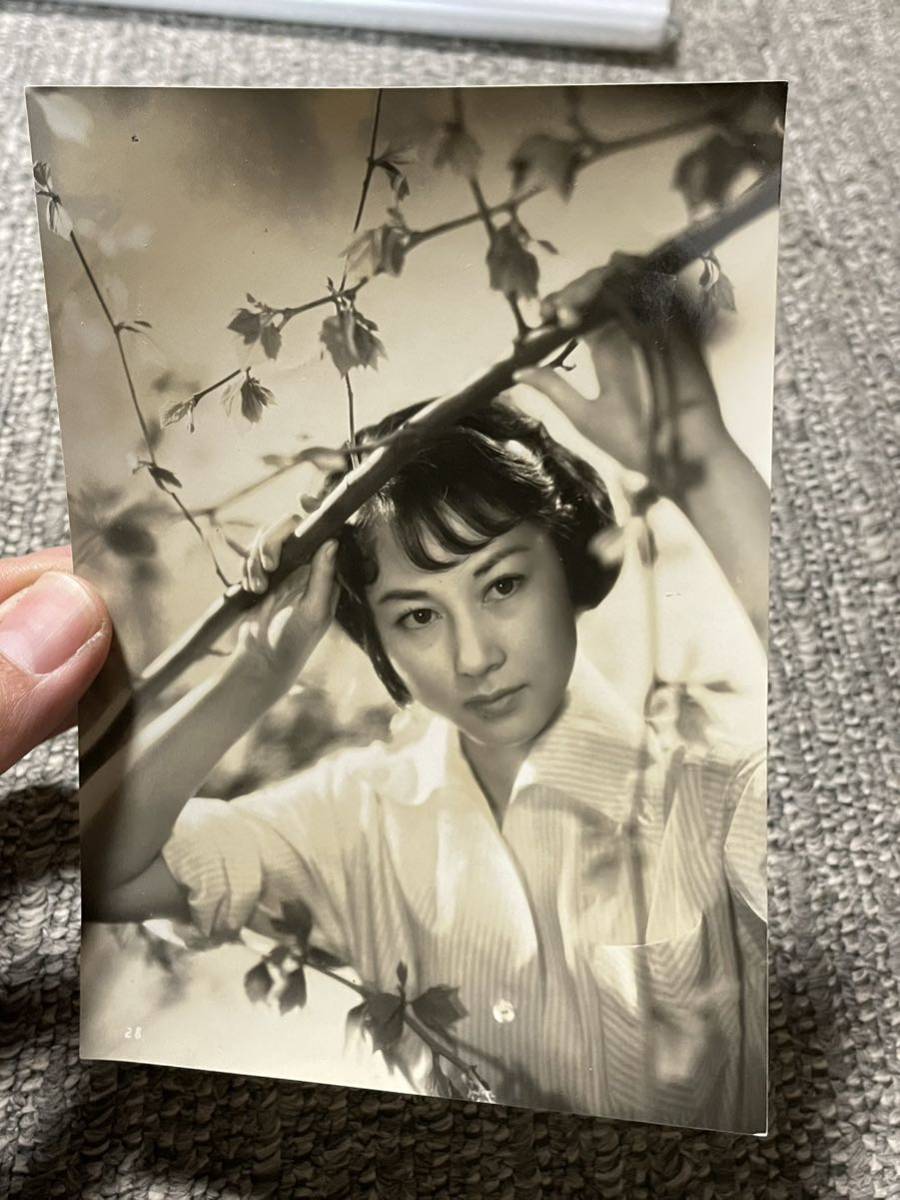 代購代標第一品牌－樂淘letao－35 希少 入手困難 お宝 当時物 東宝映画 ある日わたしは 上原美佐 写真 スナップ写真 スチール写真 モノクロ 白黒 コレクター