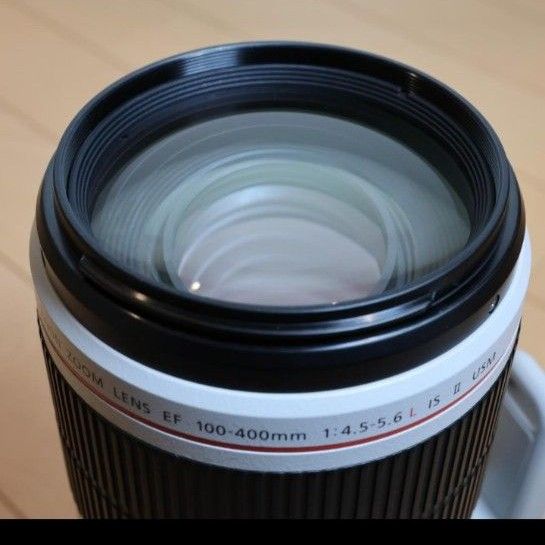 EF100-400mm Canon キヤノン F4 5-5 6L +エクステンダー1 4×+2 0 EF100-400mm Canon キヤノン F4 5-5 6L +エクステンダー1 4×+2 0