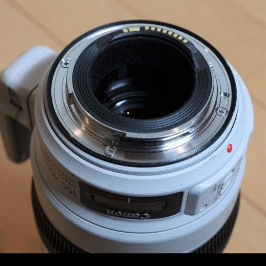 EF100-400mm Canon キヤノン F4 5-5 6L +エクステンダー1 4×+2 0 EF100-400mm Canon キヤノン F4 5-5 6L +エクステンダー1 4×+2 0
